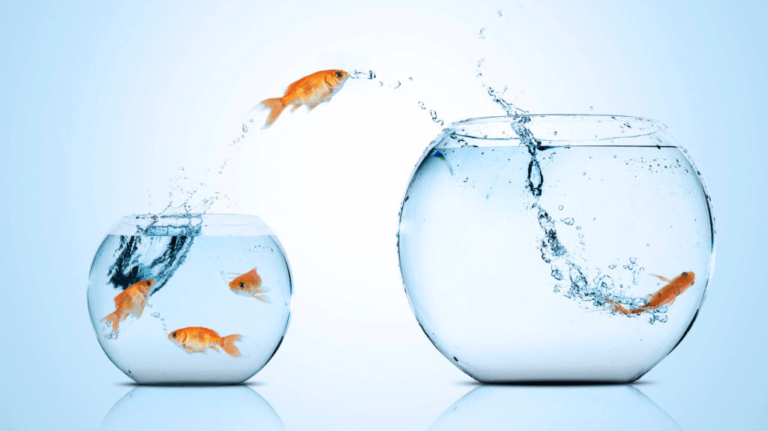 How to Migrate Python 2 Applications to Python 3 - ActiveState