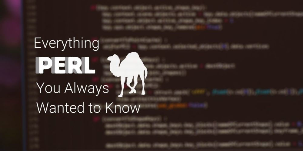 Everything you ever wanted to know about the Perl ecosystem