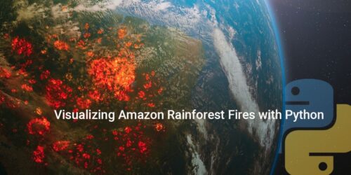 Human Impact on Amazon Rainforests: A Geospatial Analysis Using Python