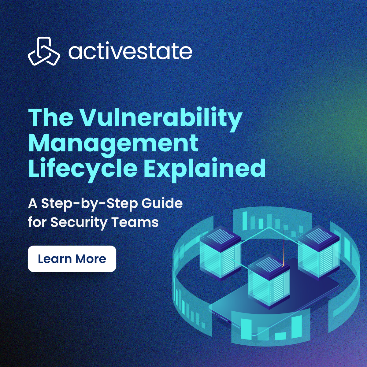 The Vulnerability Management Lifecycle Explained: A Step-by-Step Guide ...